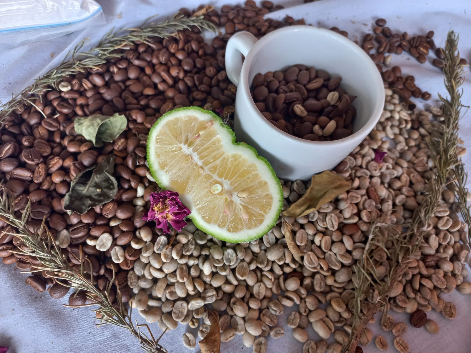 Productos que Colombia Exporta